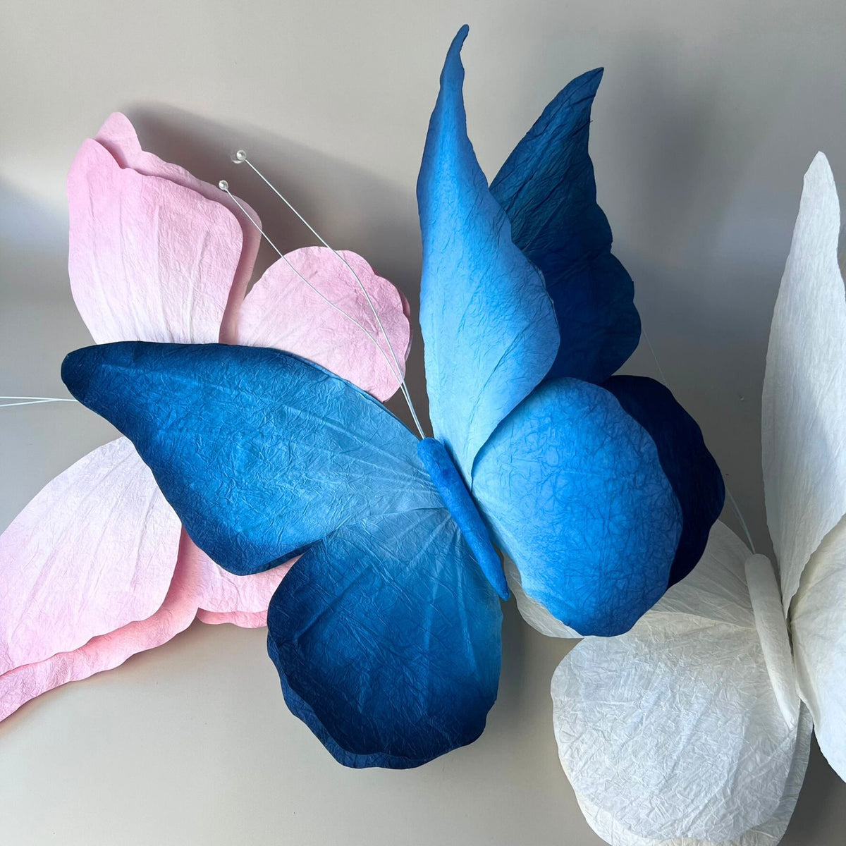 Paris Giant Butterfly Paper - Blue 50cm – HG Living Co