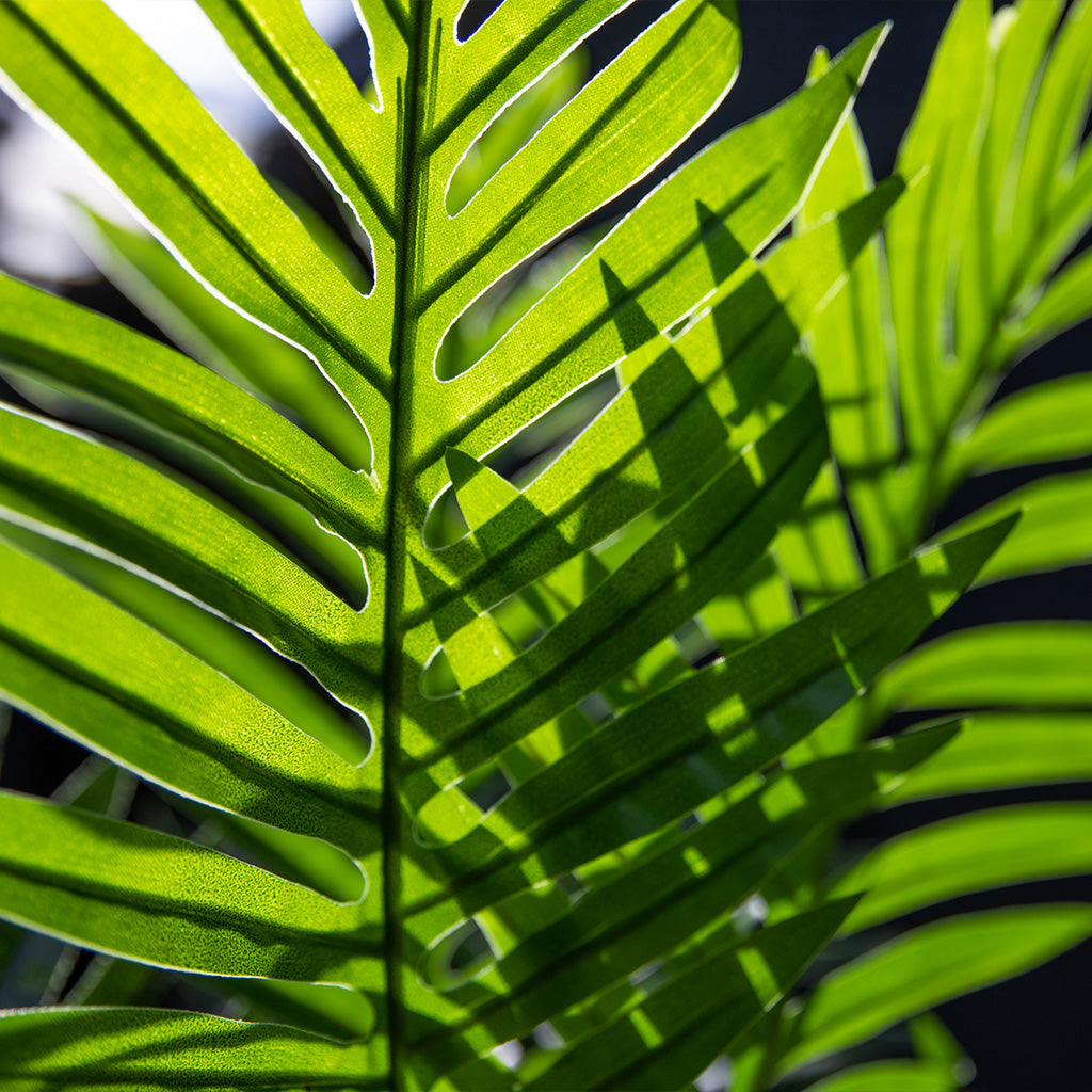 Outdoor UV Treated Artificial Plants & Green Wall – HG Living Co