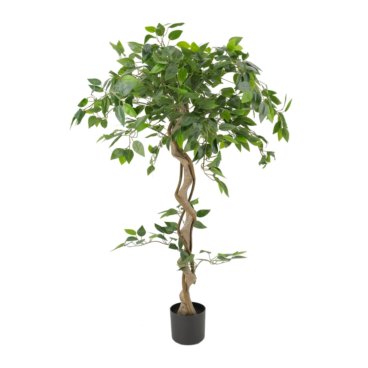 Artificial Plant - Ficus Tree with Twisted Trunk 120cm – HG Living Co