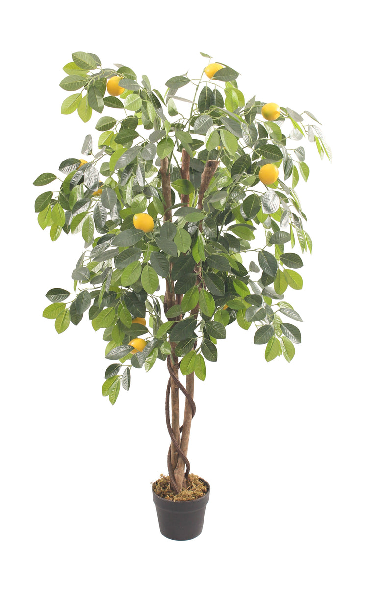 Lemon Tree Artificial 120cm – HG Living Co