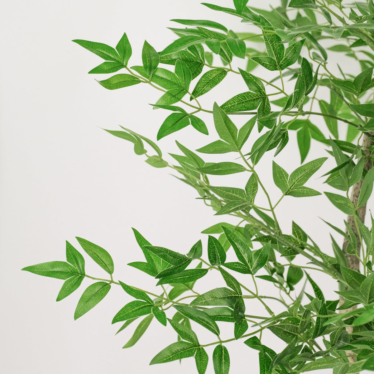 Artificial Nandina Tree 175cm – HG Living Co