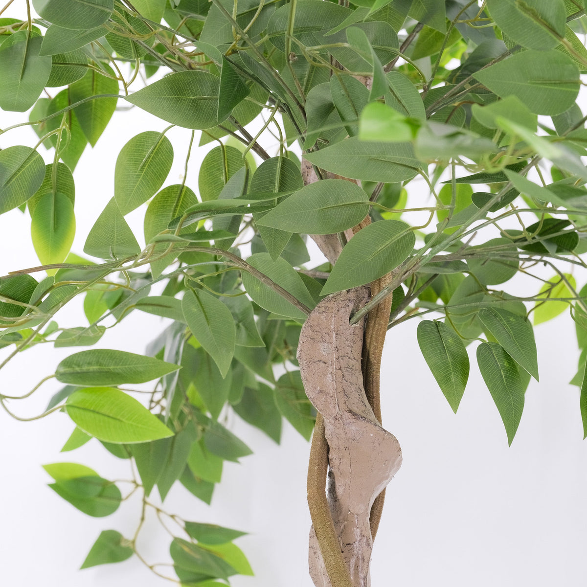 Artificial Plant - Ficus Tree with Twisted Trunk 120cm – HG Living Co