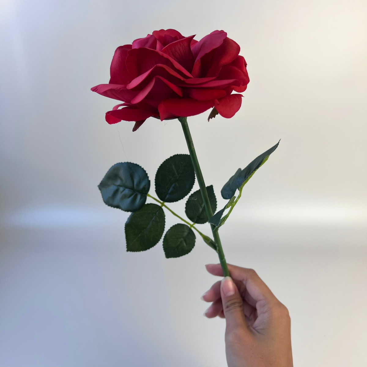 Real Touch Rose 40cm - CLASSIC RED – HG Living Co