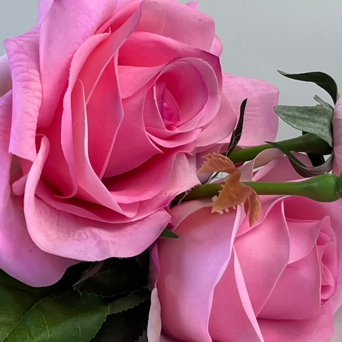 Real Touch Grand Rose - Pink – HG Living Co