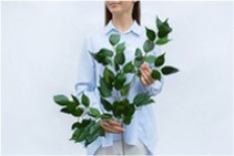 Real Touch Ficus Branch - Green – HG Living Co