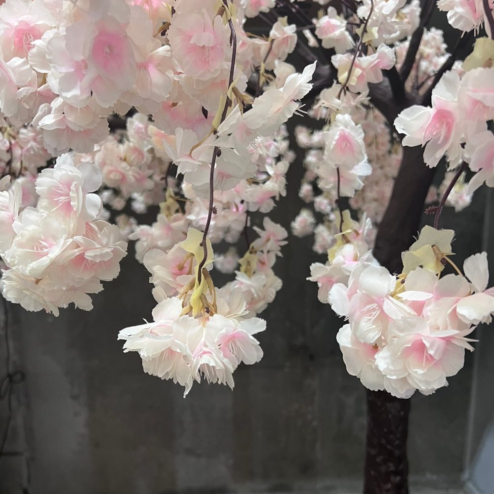 Weeping Cherry Blossom Tree overhanging - Soft Pink Waterfall 2.6m – HG ...